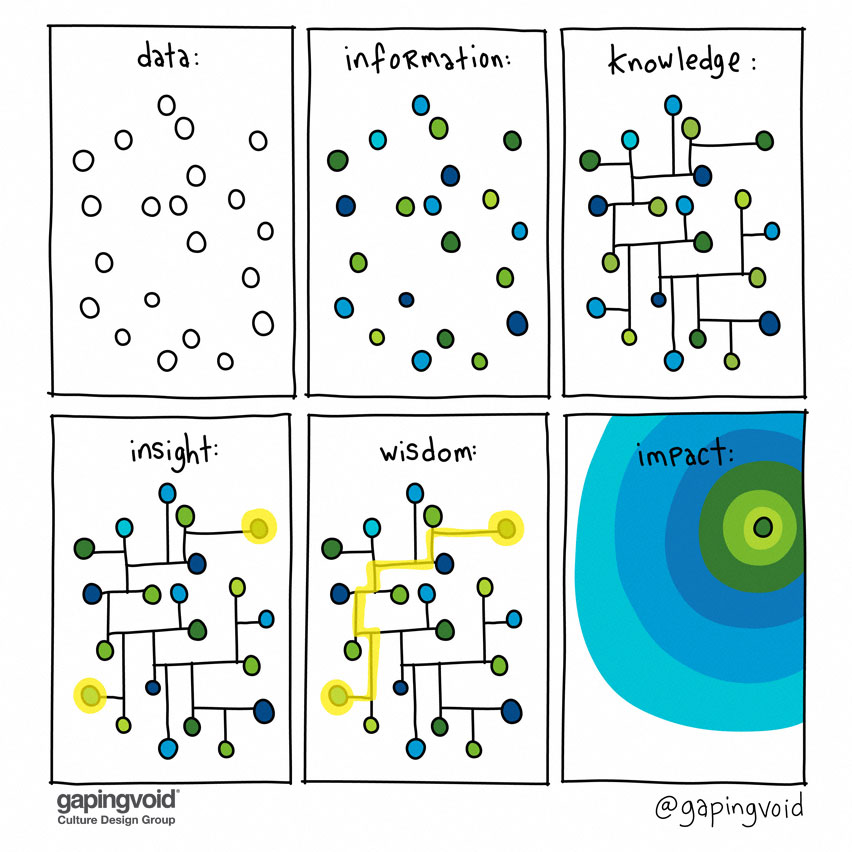Data information knowledge insight wisdom impact Bin Fish